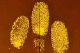 Forensic Identification